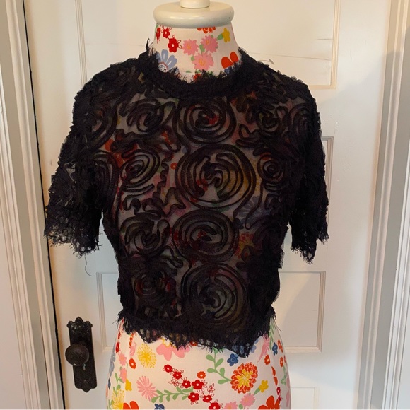 Tops | Translucent Textured Rose Crop | Poshmark